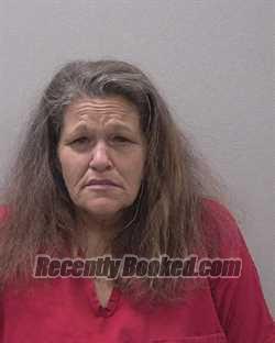Recent Booking / Mugshot for LISA ANN PARROTT in Lexington County ...