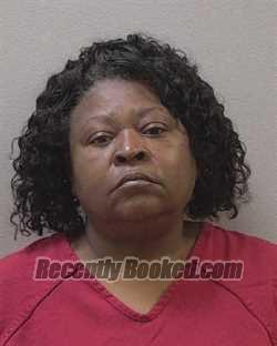 Recent Booking / Mugshot for DEBBIE ELAINE STALEY in Lexington County ...