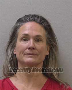 Recent Booking / Mugshot for TRACY DUCKWORTH in Lexington County, South ...