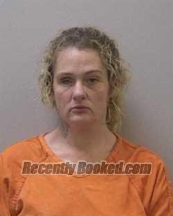 Recent Booking / Mugshot for BRITTNEY HOPE CHILDERS in Lexington County ...