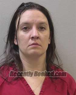Recent Booking / Mugshot for CHRISTINA FINCH in Lexington County, South ...