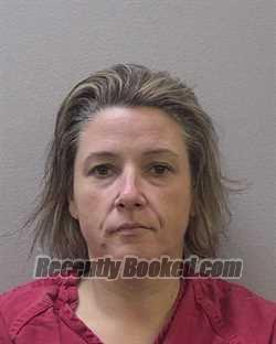 Recent Booking / Mugshot for BRANDY MICHELLE NELSON in Lexington County ...