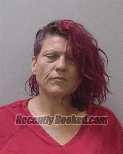 Recent Booking / Mugshot for MAVIS LOUISE JONES in Lexington County ...