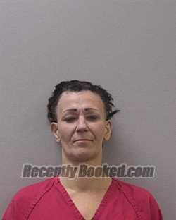 ROBIN J MARKS Arrest Record & Booking Info – Lexington County, South ...