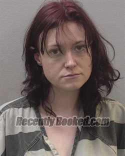 Recent Booking / Mugshot for ASHLEY ANN JOHNSON in Lexington County ...