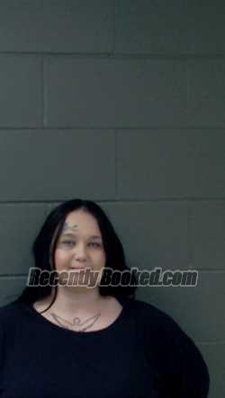 Recent Booking / Mugshot for SALLY LYNN RITCHIE in Hardin County, Iowa