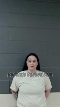 Recent Booking / Mugshot for SALLY LYNN RITCHIE in Hardin County, Iowa