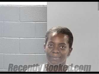 Recent Booking / Mugshot for JOSEPHINE NECOLE ELLISON in Marion County ...