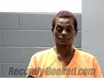 Recent Booking / Mugshot for MINNIE VANESSA SMITH in Marion County ...