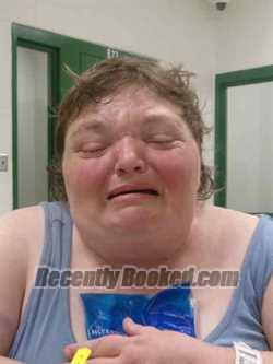 DAMA HEATHER COOK Arrest Record & Booking Info – Lee County, Iowa ...