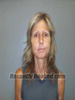 SADY ANN HANER Arrest Record & Booking Info – Lee County, Iowa ...