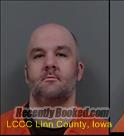 Recent Booking / Mugshot for BRIAN DAVID REESE in Linn County, Iowa