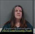 Recent Booking / Mugshot for SUSAN ELLEN MANNING in Linn County, Iowa