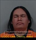 Recent Booking / Mugshot for ERIC DANIEL FORD in Linn County, Iowa