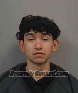 Recent Booking / Mugshot for BRIAN GAMBOA RUBIO in Newberry County ...