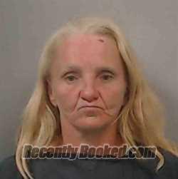 Recent Booking / Mugshot for HEATHER ELAINE WIGGINS in Newberry County ...