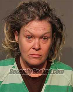 PATRICIA JOY PRESTON Arrest Record & Booking Info – Polk County, Iowa ...