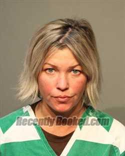 JAMIE LYNN JUSTICE Arrest Record & Booking Info – Polk County, Iowa ...