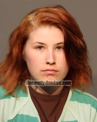 Taylor Nicole Leilani Ashley Mugshot & Arrest Info | Polk County, IA