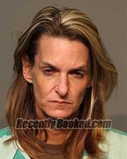 Recent Booking / Mugshot for BRANDY LEU BIEGGER in Polk County, Iowa