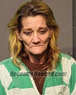 Recent Booking / Mugshot for NICOLE MARIE PATTEN in Polk County, Iowa