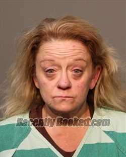Recent Booking / Mugshot for MICHELE ANNE DEGEN in Polk County, Iowa