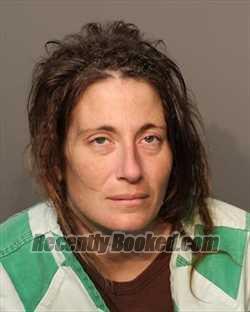 Lacy Erin Debrower Mugshot & Arrest Info | Polk County, IA