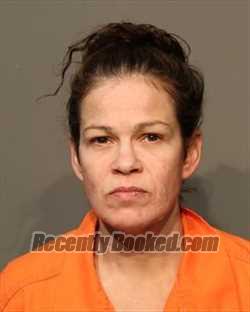 Recent Booking / Mugshot for VIRGINIA ANN HANSON in Polk County, Iowa