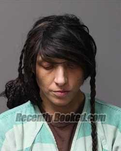 Recent Booking / Mugshot for NATASHA MARIE MCCONNELL in Polk County, Iowa