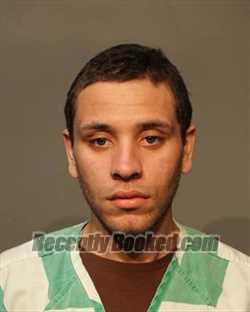 Recent Booking / Mugshot for CHANCE CAMERON FRISCH JOHNSON in Polk ...