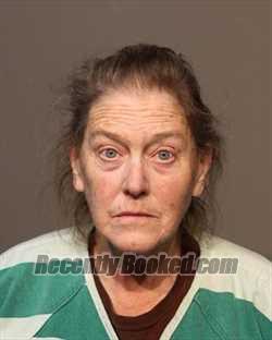 Recent Booking / Mugshot for LISA KATHRYN HUNZIKER in Polk County, Iowa