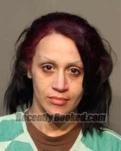 Recent Booking / Mugshot for LISA NANETT VAZQUEZ CRESPO in Polk County ...