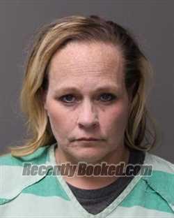 Recent Booking / Mugshot for JILL RENEE WILKINSON in Polk County, Iowa