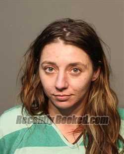 Heidi Lee Harrington Mugshot & Arrest Info | Polk County, IA