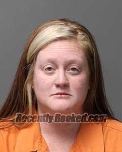 Recent Booking / Mugshot for BRIDGET ANN HARNEY in Polk County, Iowa