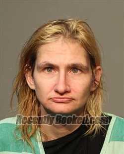 Recent Booking / Mugshot for MICHELLE LYNN ACKELSON in Polk County, Iowa