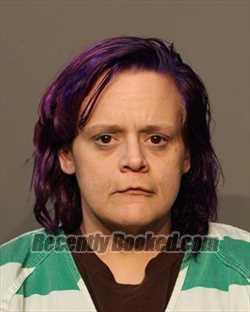 Recent Booking / Mugshot for JAMIE MICHELLE DIPPLE in Polk County, Iowa