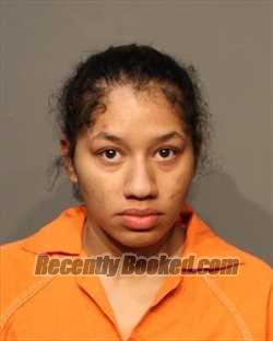 Secret Ann White Mugshot & Arrest Info | Polk County, IA