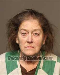 LISA KATHRYN HUNZIKER Arrest Record & Booking Info – Polk County, Iowa ...