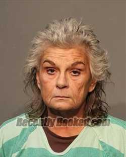 Recent Booking / Mugshot for JONI LYNN MATEER in Polk County, Iowa