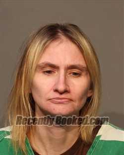 Recent Booking / Mugshot for MICHELLE ACKELSON in Polk County, Iowa