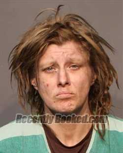Recent Booking / Mugshot for BRANDY LYNN SMITH in Polk County, Iowa