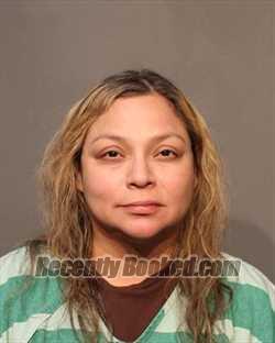 Michelle Renee Hoag Arrest & Booking Info | Polk County, IA