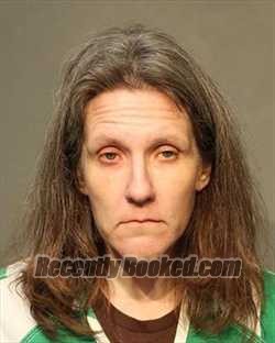 Recent Booking / Mugshot for LAURIE ANN STANTON in Polk County, Iowa