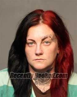 Recent Booking / Mugshot for ERICA LYNN MCVEY in Polk County, Iowa