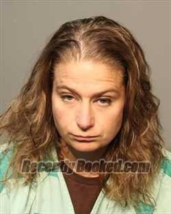 Recent Booking / Mugshot for MEGAN ADELE DAINS in Polk County, Iowa