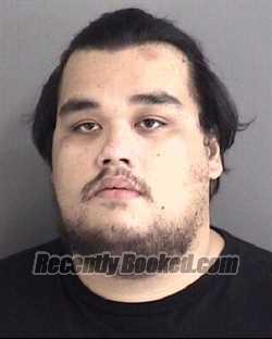 Dameon Gerald Williams Mugshot & Arrest Info | Story County, IA
