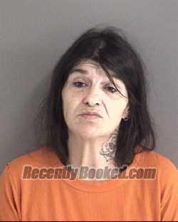 Recent Booking / Mugshot for JANET ELLEN CARVER in Story County, Iowa