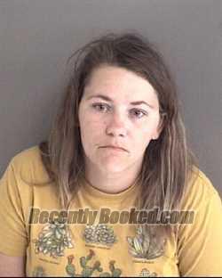 Recent Booking / Mugshot for JENNIFER LYNN TOOL in Story County, Iowa