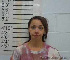 Amber Dawn Gundersen Mugshot & Arrest Info | Warren County, IA